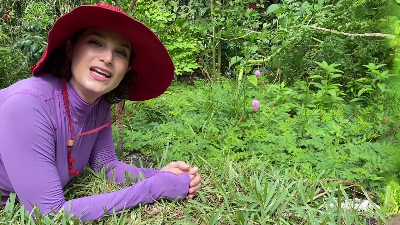 Arielle Simon, Village Horticulturist: Episode 2, My Backyard - YouTube