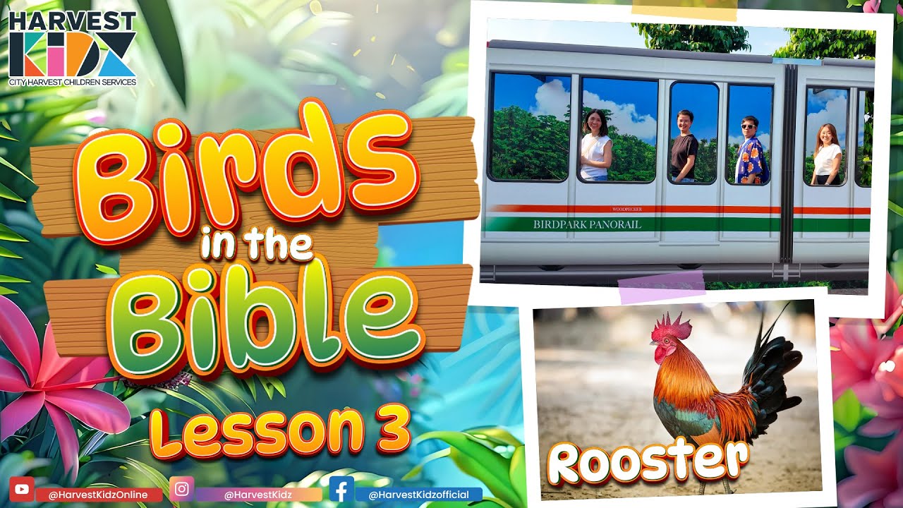 Birds In The Bible Lesson 3: Rooster - YouTube