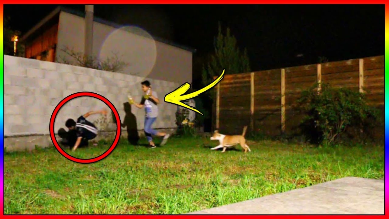 MOMO PRANK ENZO IL S’ÉCLATE PAR TERRE ! - YouTube