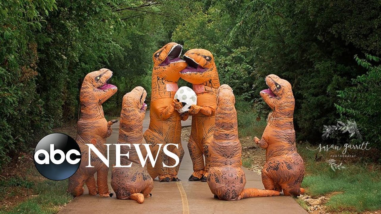 This family's babysaurus-Rex announcement will have you roaring for joy ...