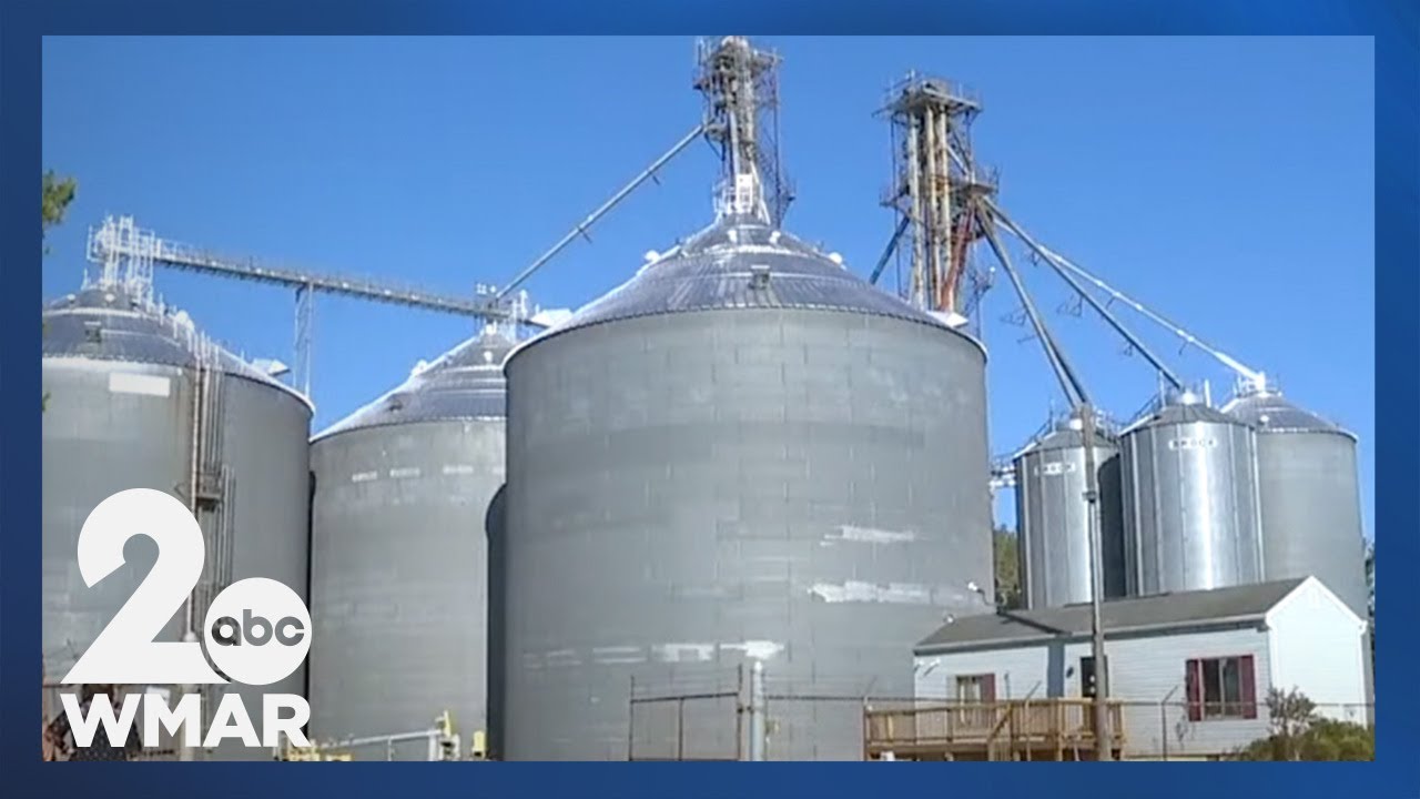 Grain elevator lifts farmers' hopes - YouTube