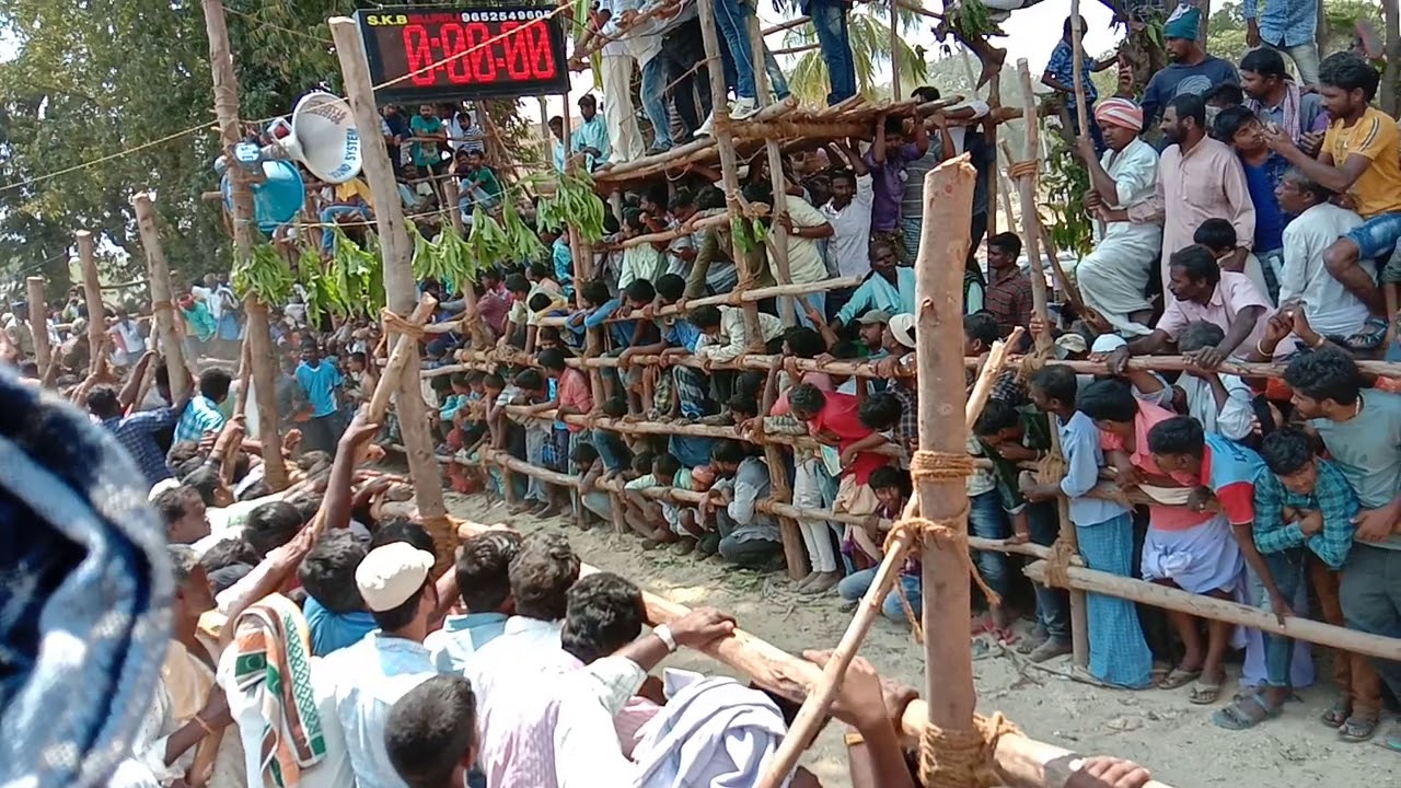 Baireddipalle jalli kattu - YouTube