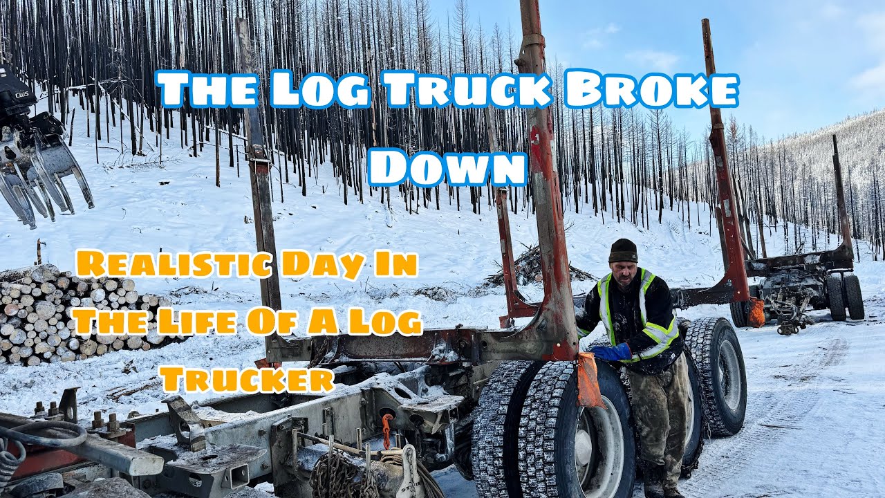 Real Life Of A Log Trucker Focus Accompanied By Patience And ...
