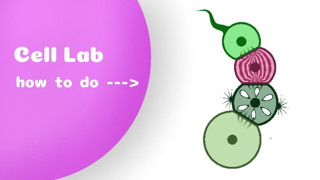 Cell lab - how to make a smart organism. - YouTube