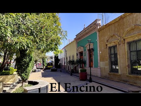 El Encino, Aguascalientes (Neighborhood Tour & History) Mexico - YouTube