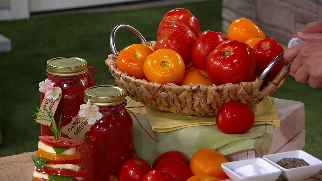 Phillip Watson Designs 3-Piece Tomato Variety Pack Live Plants on QVC ...