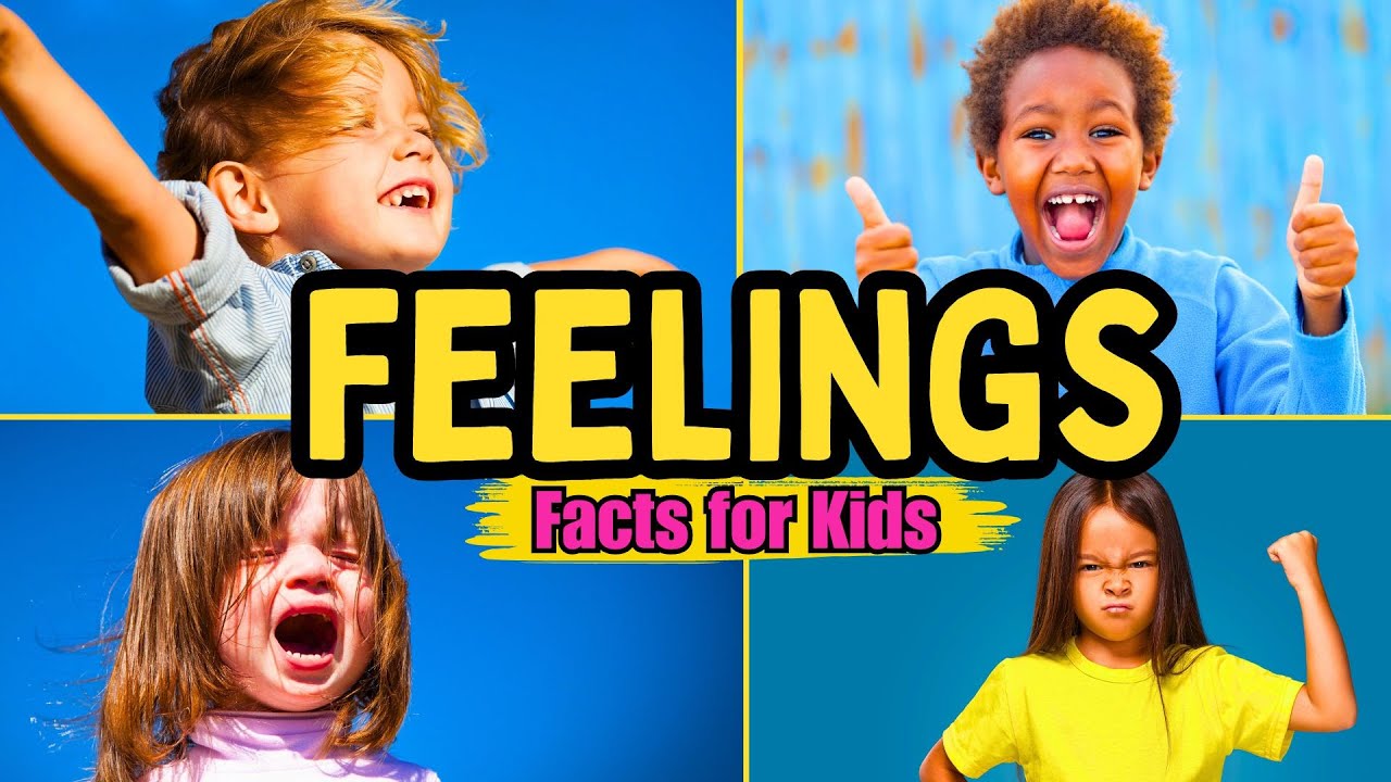 What Are Feelings? (Facts for Kids) - YouTube