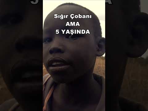 5 YAŞINDA AMA SIĞIR ÇOBANLIĞI YAPIYOR