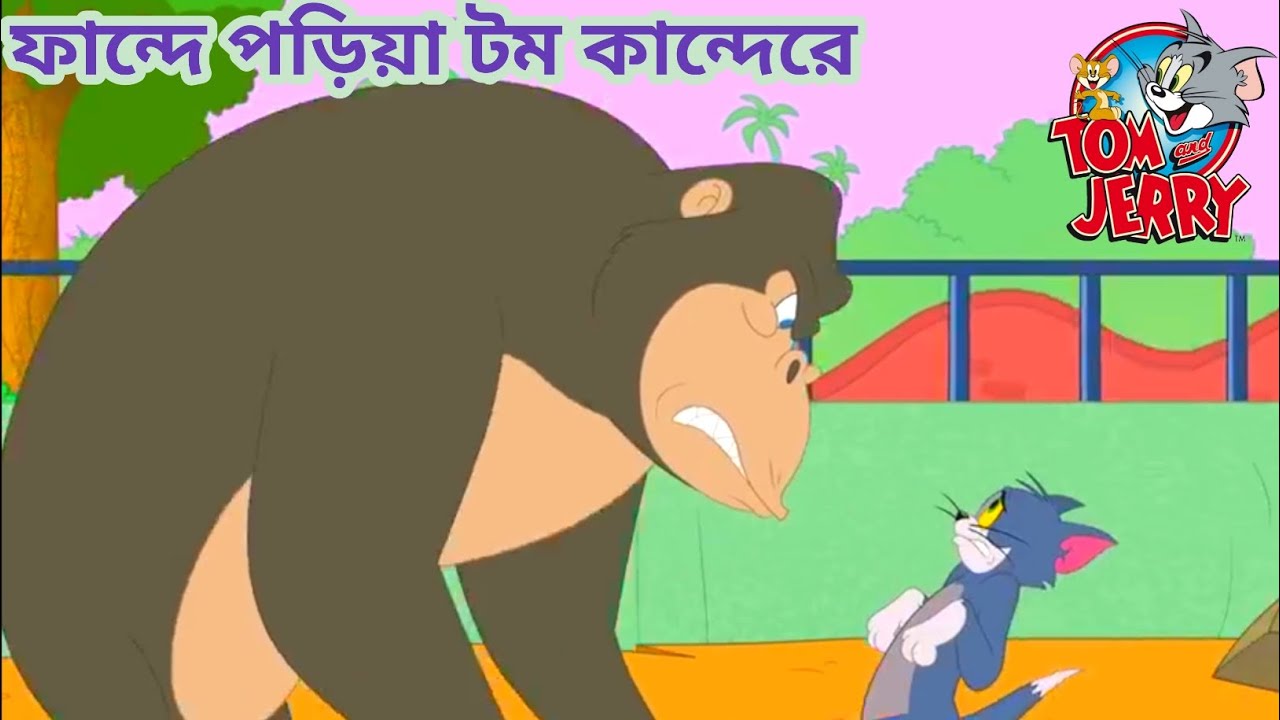 ফান্দে পড়িয়া টম কান্দেরে tom and Jerry bangla catton kids animason ...