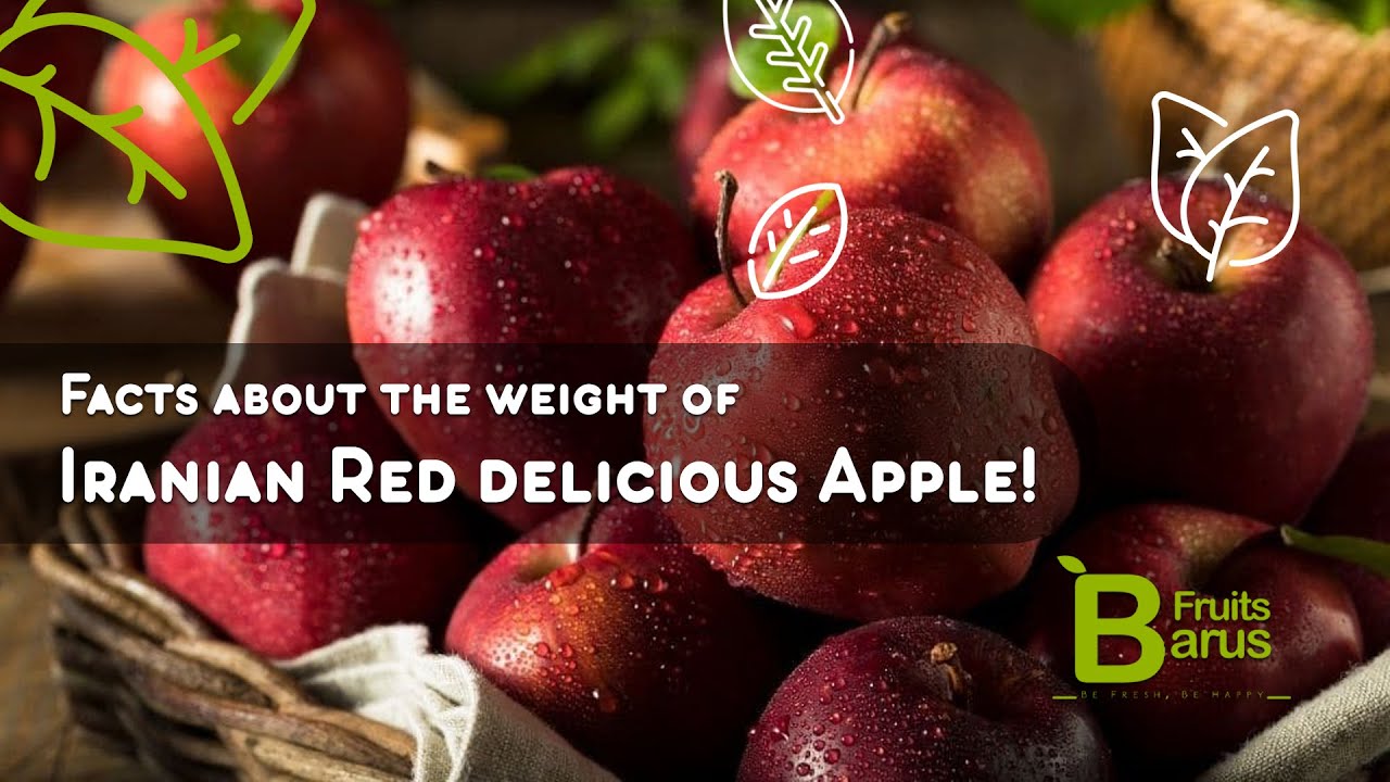 Unlock Confidential Insights: Measure the Average Weight of Iranian Red ...