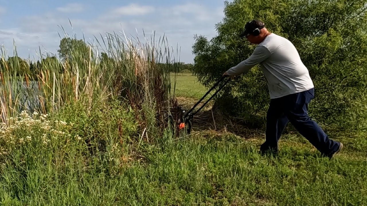 DR Power Trimmer Mower Made Easy Work Of This Overgrown Pond - YouTube