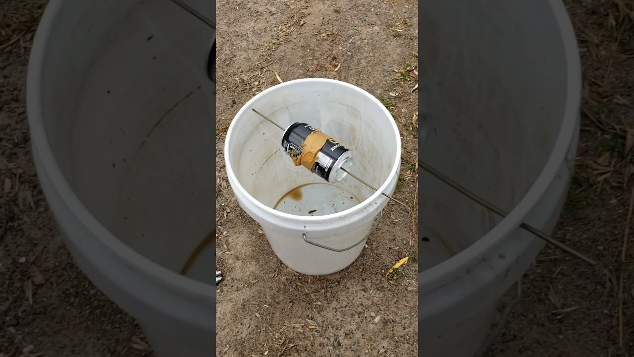 How To Make a Bucket Mouse/Rat Trap. DIY Rodent Extermination Without ...