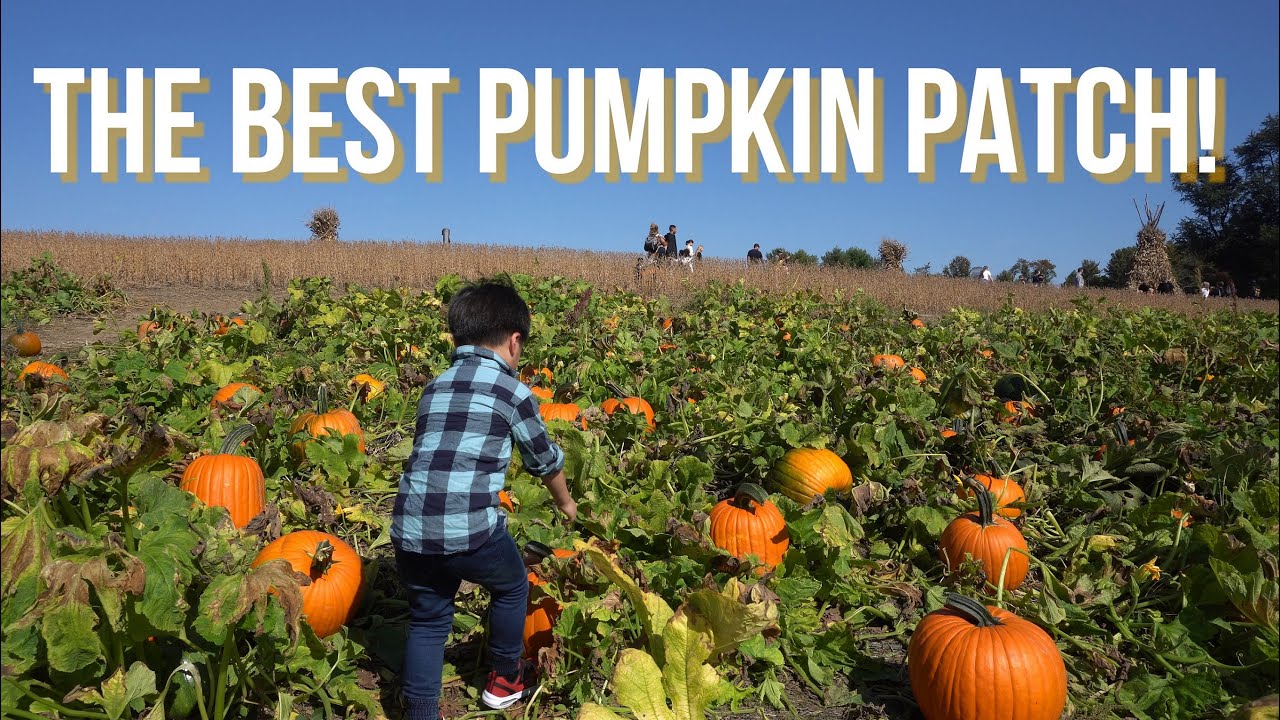 The Best Pumpkin Patch Tour! | Y WORRY FARM - PART 01 | Davidsonville ...