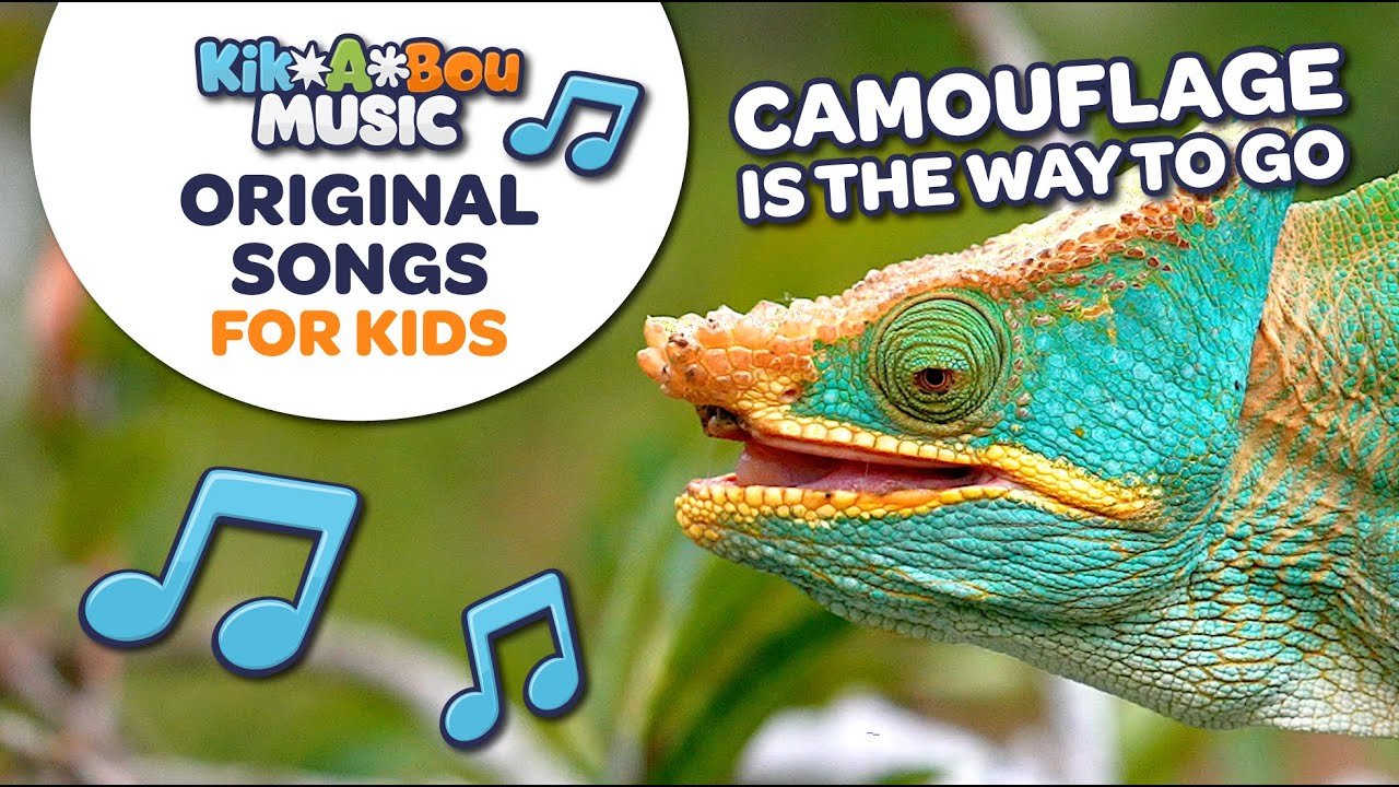 Camouflage is the Way to Go! (Official Music Video) - Original Music ...