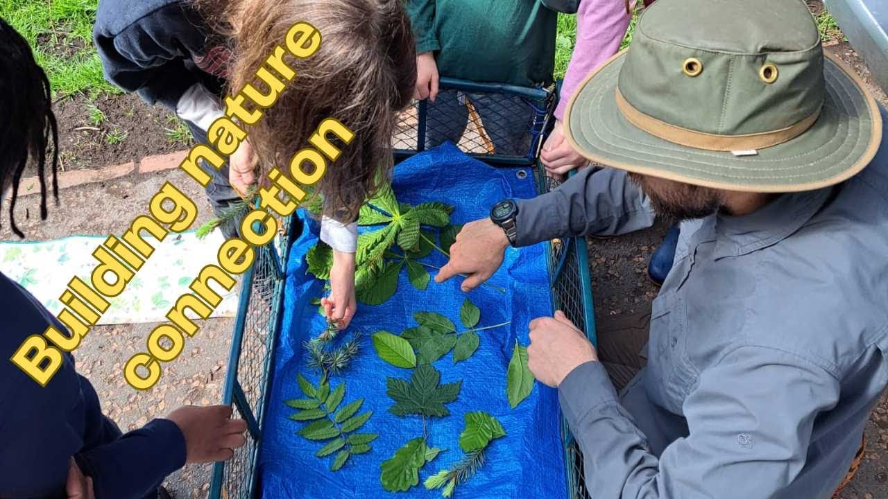Learn your trees - 3 Forest School activities for teaching tree ...