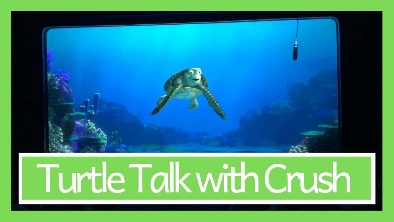 Disneyland's FUNNY Show Turtle Talk With Crush In California Adventure ...