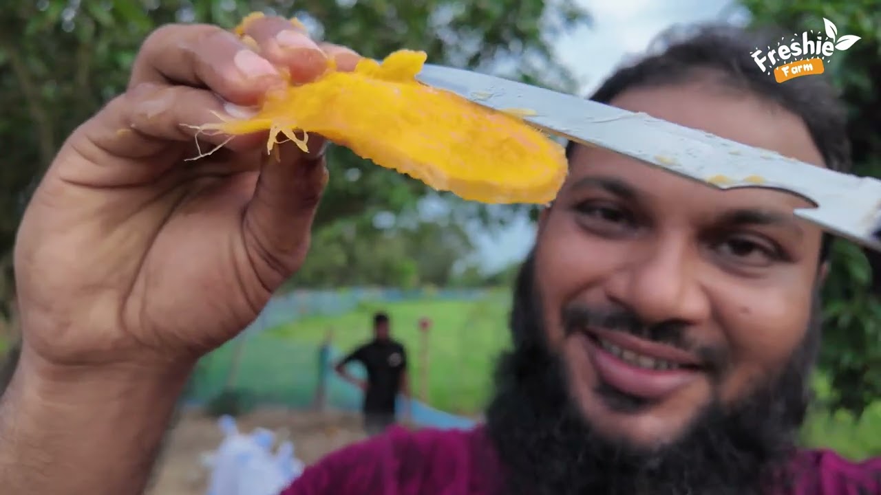 ভ্লগ | Freshie Farm