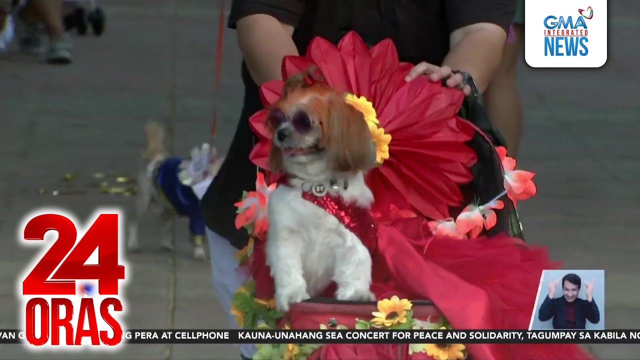 Ilang furbabies nagpabonggahan sa kanilang kauna-unahang Furries de ...