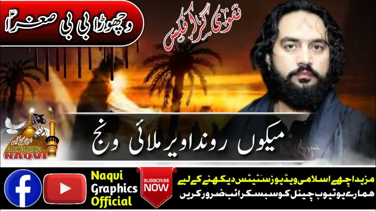 28 Rajab Whatsapp Status | Vichora Bibi Sughra | Zakir Waseem Abbas Baloch 2023 - YouTube