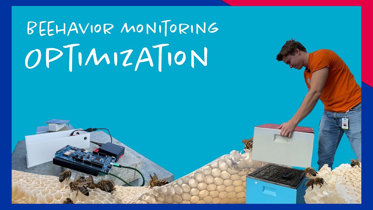 Ensuring our bees are low-power // Beehavior Monitoring - YouTube
