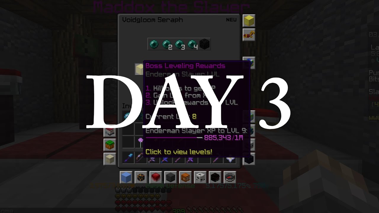 4 Final Days of Enderman Slayer | Day 3 - YouTube