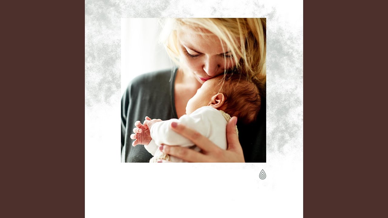 Enérgie Calme Rafraîchissante de la Forêt - YouTube