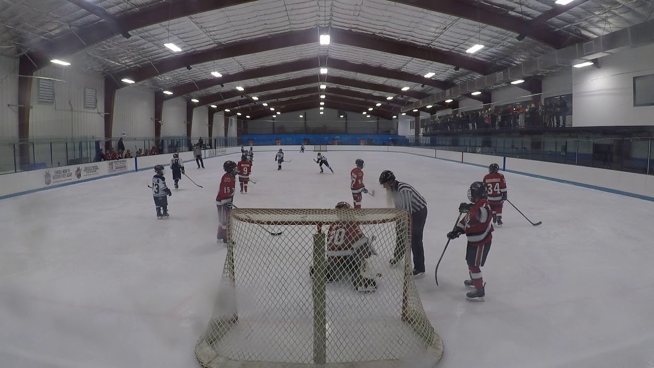 Piedmont Predators Period 3 - YouTube