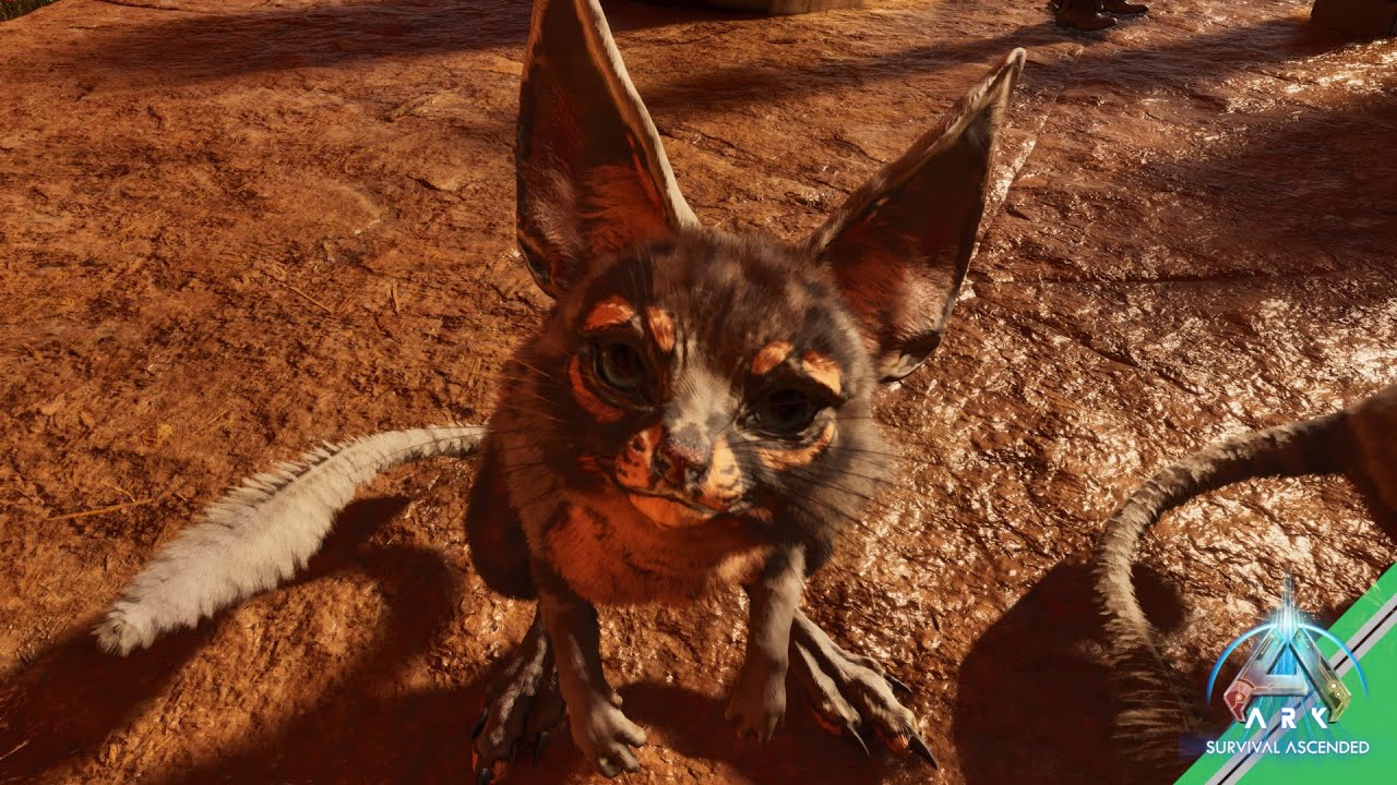 Let's Tame Up Some Shoulder Pets!!! | ARK Survival Ascended - Ep.57 ...