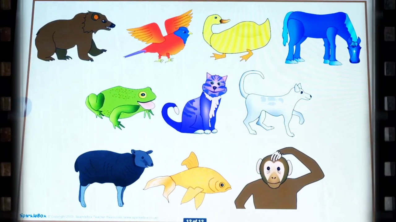 Let’s learn about colors with Brown bear and friends! - YouTube