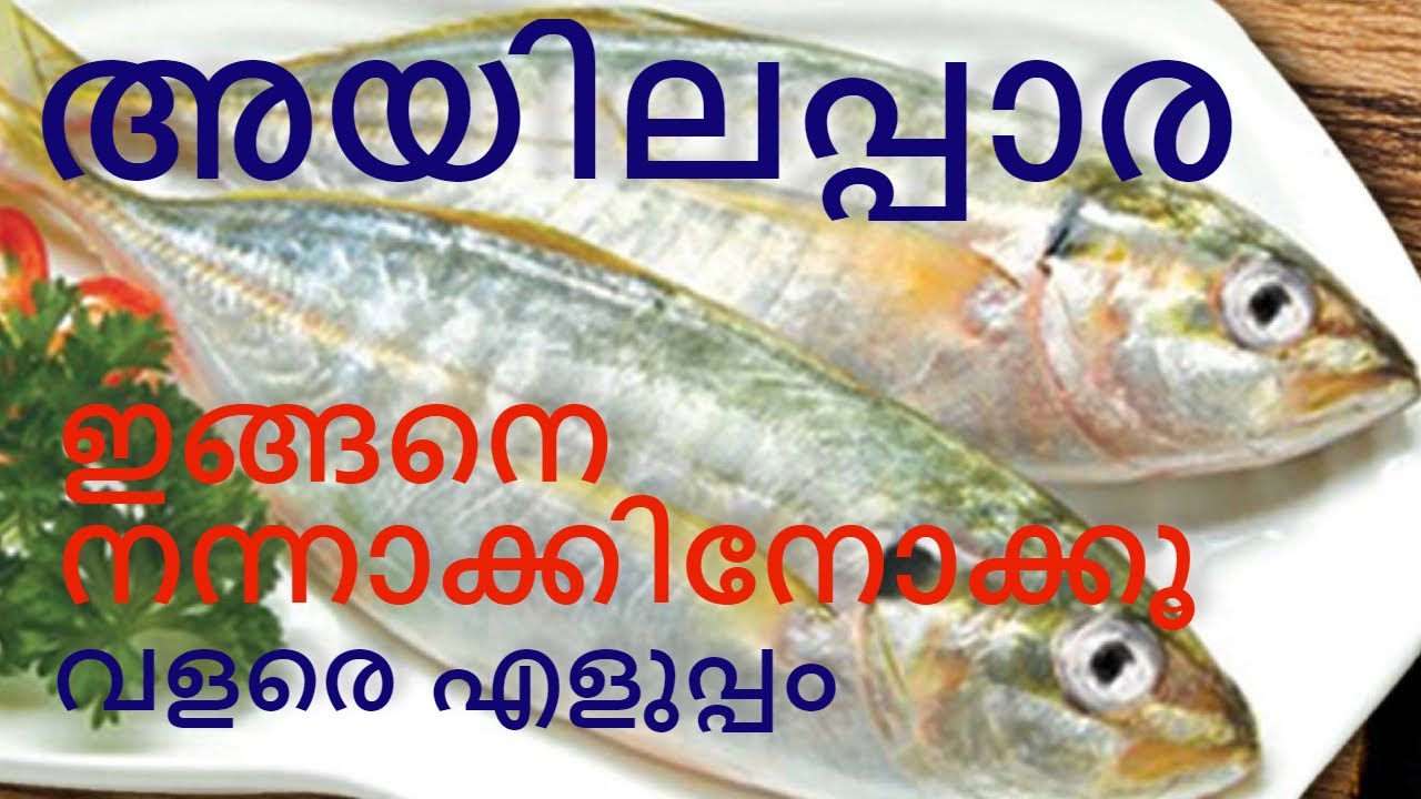 How to clean Ayala Fish | ഒരു മിനിട്ടു കൊണ്ട് അയില പാര ക്ലീൻ ചെയാം # ...