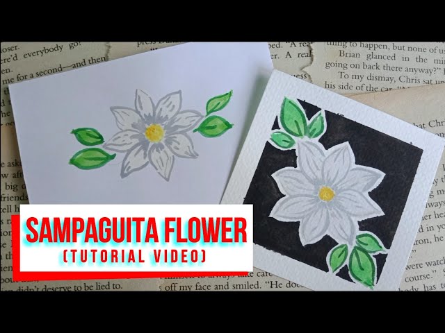 Philippine National Flower Sampaguita Drawing