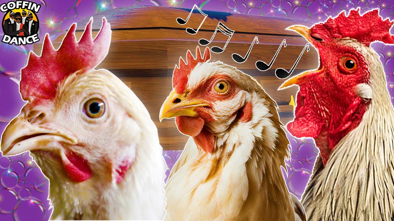 Chicken Song | PART 1 - Coffin Dance Song Cover (Remix) | J.Geco (MUSIC ...