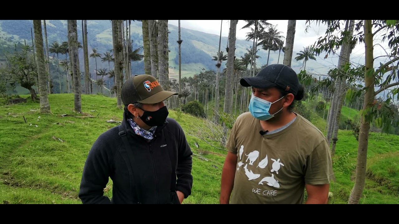 Cajamarca/Anaime (Tolima) Diego Espitia - YouTube