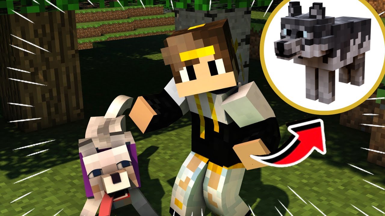Temos 5 novas raças de CACHORRO no Minecraft! Cass World Hardcore 57 ...