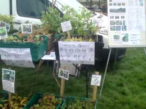 Agroforestry Eco Fferm Ffrwythau at the Cerrig show - YouTube