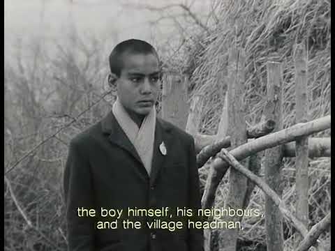 'The Night It Rained': Kamran Shirdel and the media machine