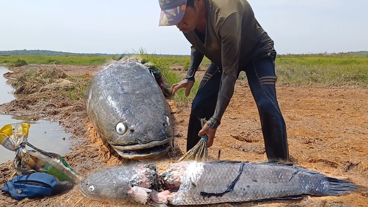 NGERI!! IKAN SEBESAR INI SAMPAI PUTUS DI GIGIT "MANG TIT"..😵‍💫🫣.. - YouTube
