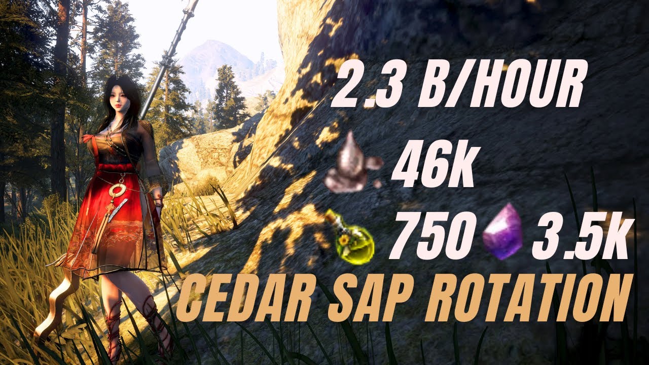 BDO Bunny's Cedar Sap Rotation | 46k sap | 3000 mastery - YouTube