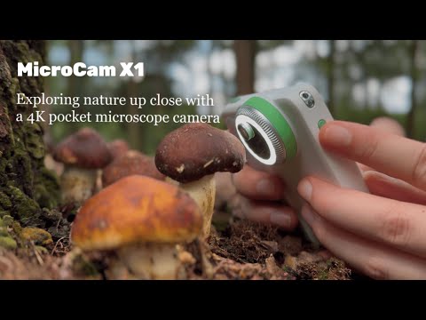 Microcam X1 | How to capture nature with a 4K pocket microscope camera ...