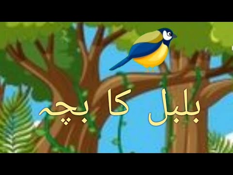 bulbul ka bacha | machli jal ki rani he | Do choti chirya |Haathi| urdu ...