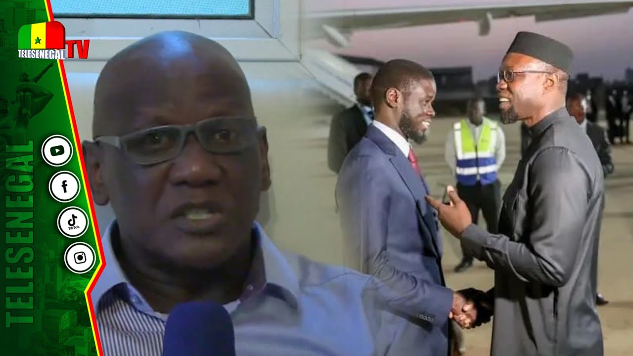 Alassane Seck LSDH sur les démarches du nouveau régime: "Amna niou ...