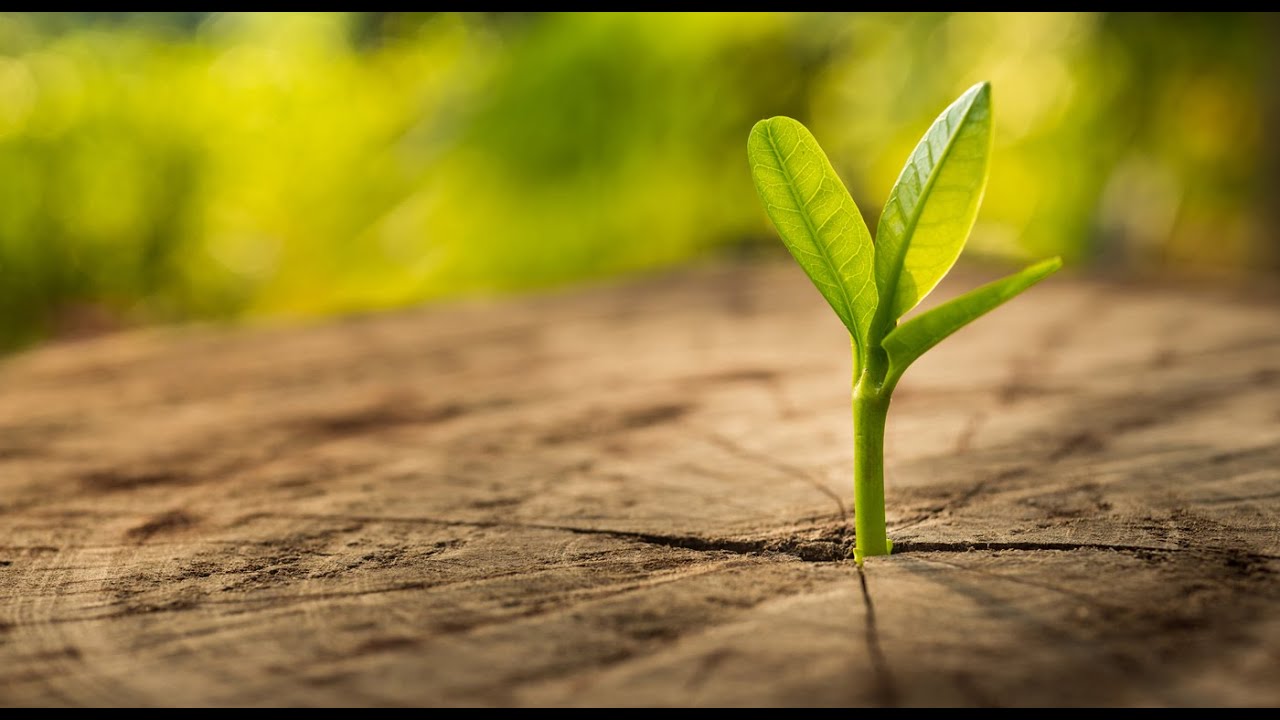 Spirit Alive! Worship, May 26th, 2024 - YouTube
