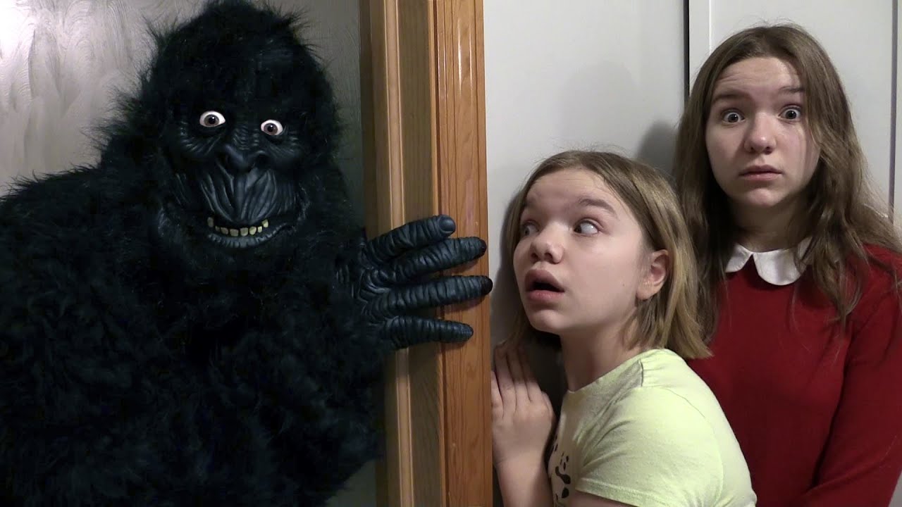 GORILLA IN OUR HOUSE. - YouTube