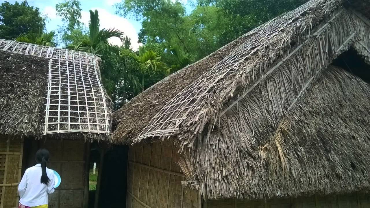 Txiv Xaiv Hmoob - YouTube