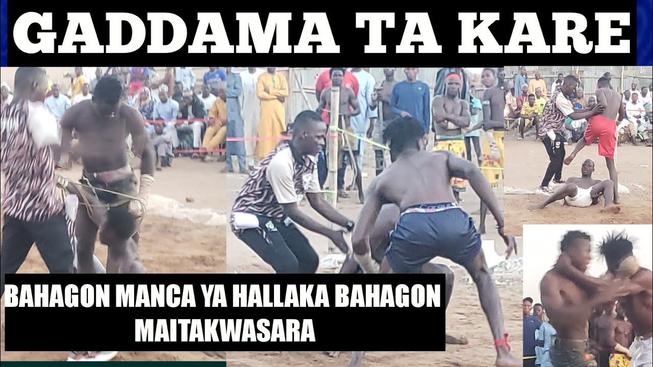 GADDAMA TA KARE BAHAGON MANCHA YA HALLAKA BAHAGON MAITAKWASARA A SOKOTO ...