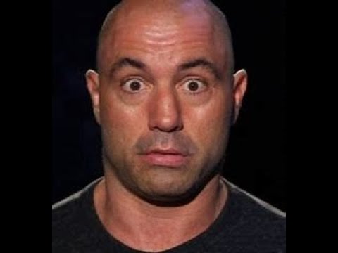 Joe Rogan is afraid of Sam Seder and learning things. Rogan's idiot ...