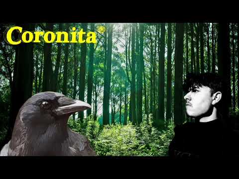 Dj Bango & Endor- El Cuervo 【REMIX】 - YouTube