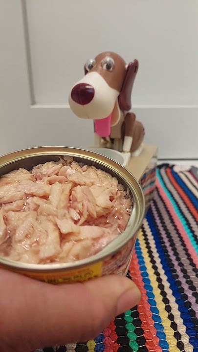 TRENDING ASMR DOGGY WANT DOGGY SO HUNGRY #asmrtriggers #asmr #satisfying #reels #reaction - YouTube