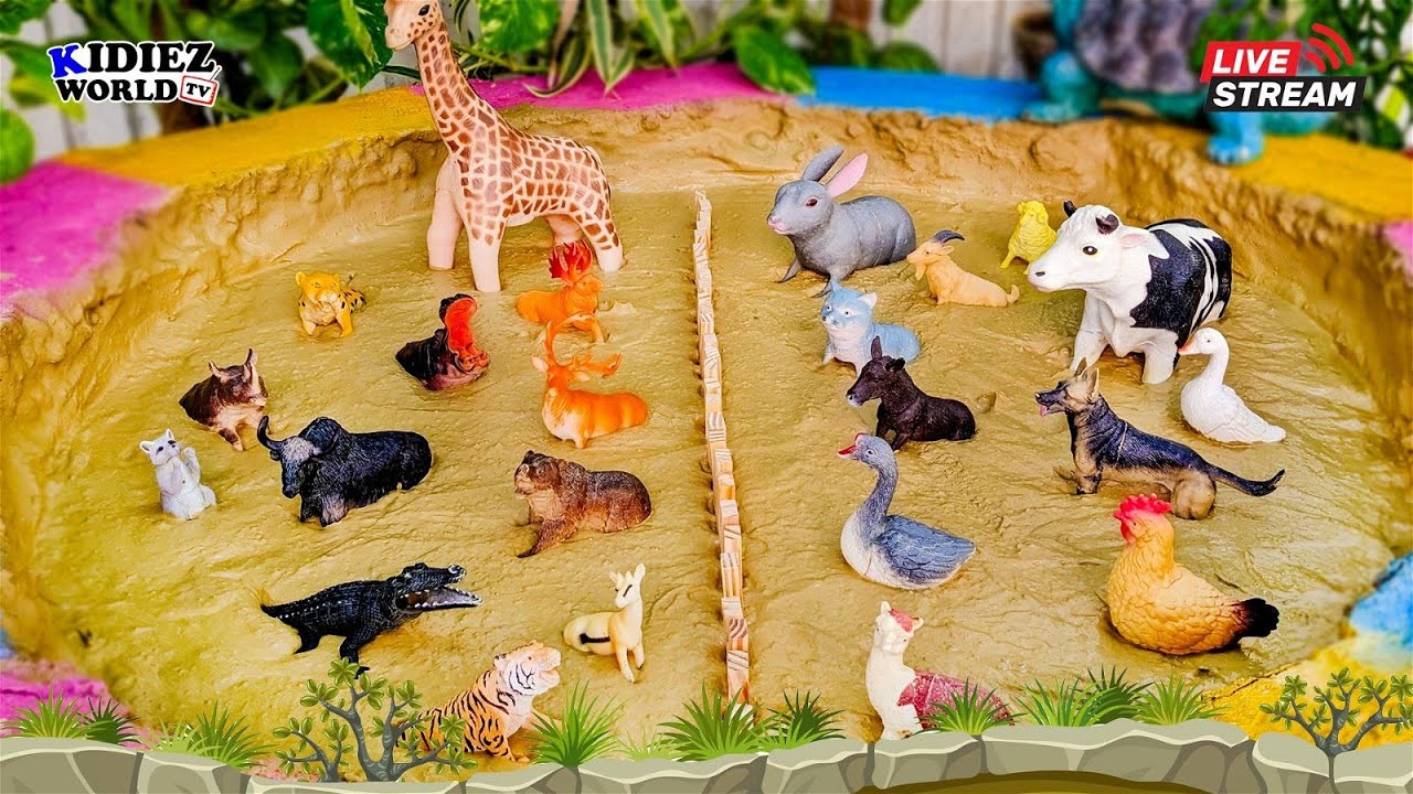 Learn Farm Animals Wild Animals for Kids in this Fun Learning Videos ...