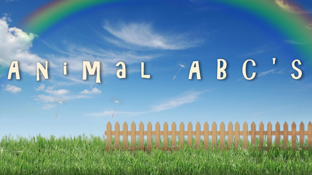 Animal ABC's / Zoo Alphabet / Preschool Education / Educational Movie ...